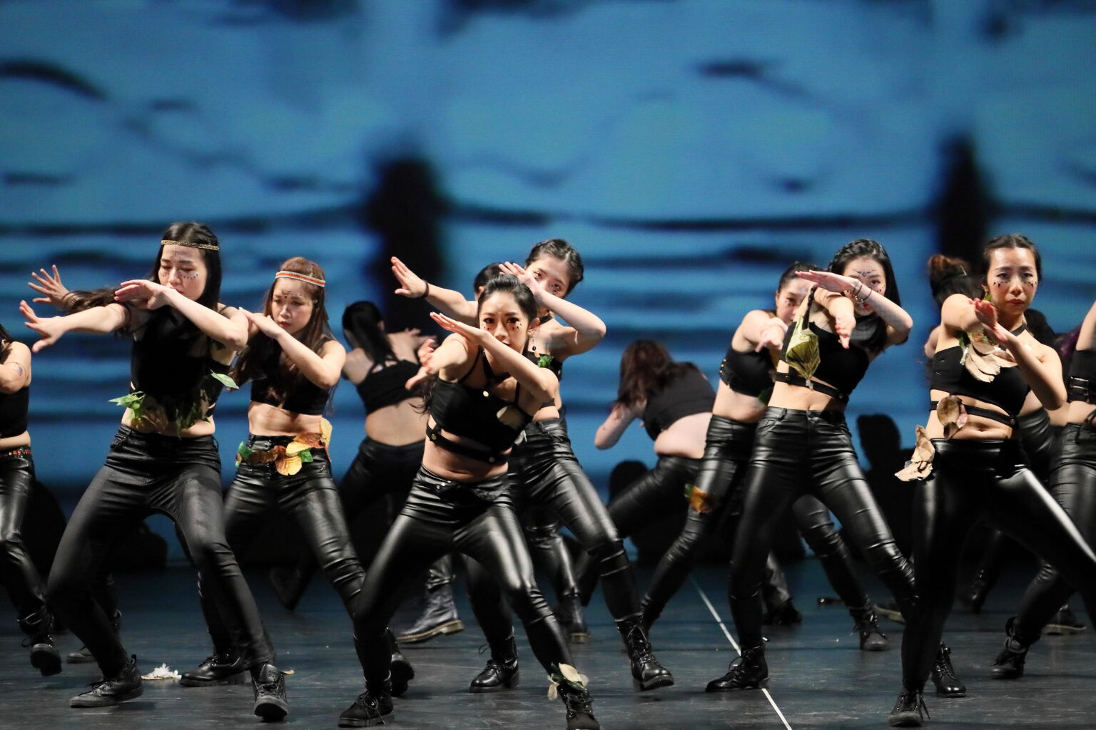 GOOD SHOW - CCDC